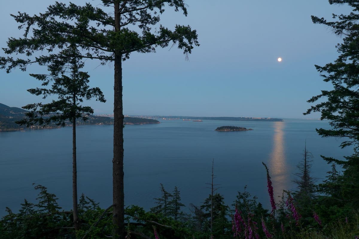 801 VALHALLA PLACE, Bowen Island, BC V0N 1G1 Land For Sale | RE/MAX ...