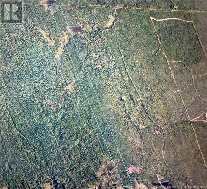 Vacant lot Route 180, South Tetagouche, NB E2A7G8 Land For Sale | RE ...