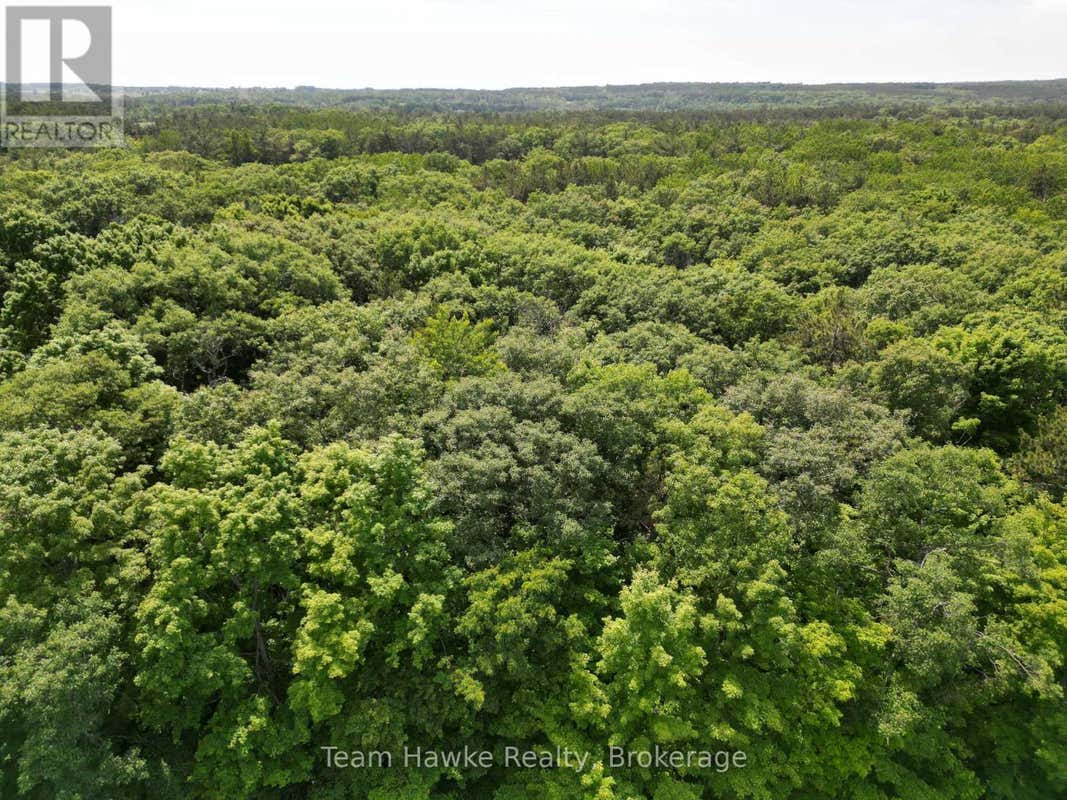 4 OVERHEAD BRIDGE ROAD, Tiny, ON L0L2J0 Land For Sale | RE/MAX | S12226353