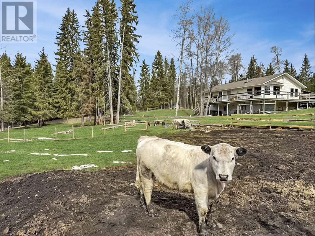 3736 SPOKIN LAKE ROAD, 150 Mile House, BC V0K2G0 À vendre | RE/MAX ...