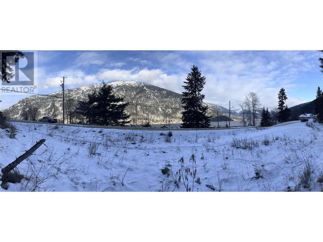 1102 Government Street, Nelson, BC V1L3B4 Land For Sale | RE/MAX | 10334693