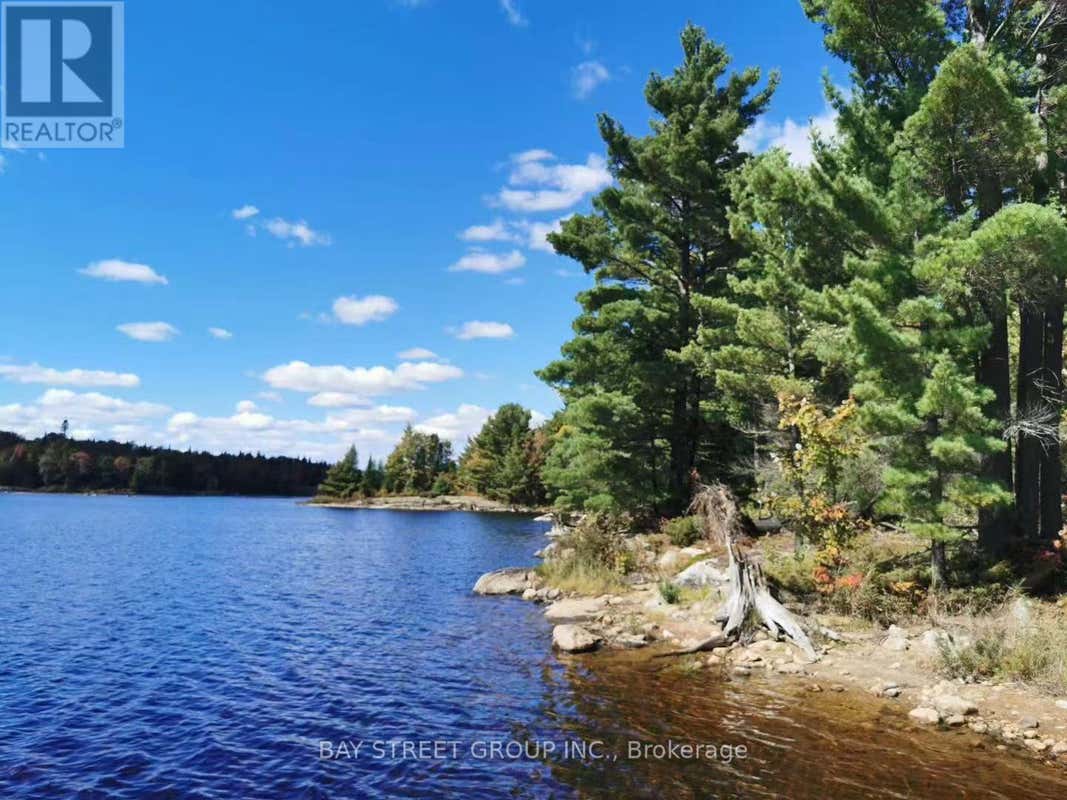 157 LAKE VISION ROAD, McMurrich/Monteith (Monteith), ON P0A1P0 Land For ...