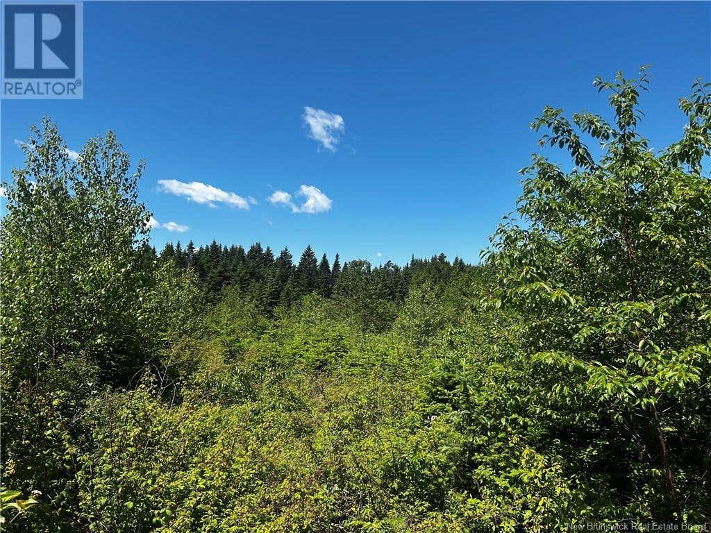 Old Gardner Creek Road, Rowley, NB E2S0E9 Land For Sale | RE/MAX | NB121779