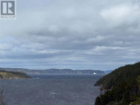 50 MAIN STREET, COTTRELL'S COVE, NL A0H 1L0 Land For Sale | REMAX | 1297929