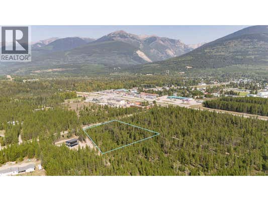 990 CRANBERRY LAKE ROAD, VALEMOUNT, BC V0E 2Z0 Land For Sale | REMAX ...