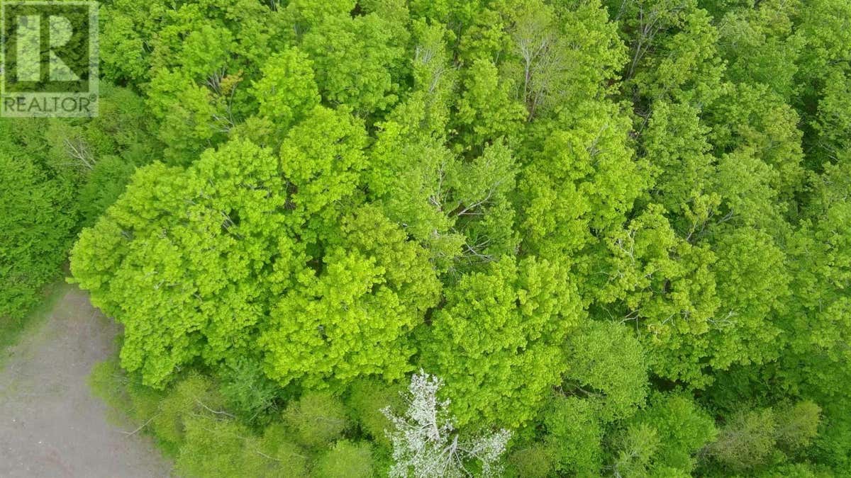 Lot LM10-8 DUNCAN Drive, Upper Kemptown, NS B0K1V0 Land For Sale | RE ...