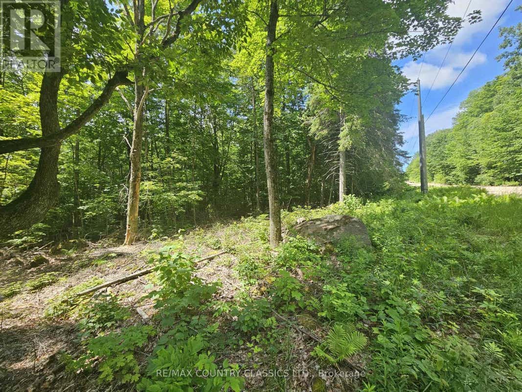 LOT 22 O'GRADY SETTLEMENT ROAD, Brudenell, Lyndoch and Raglan, ON K0J2A0 Land For Sale | RE/MAX ...