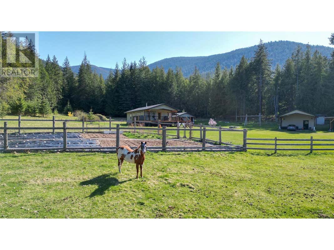 784 Lewis Road, Harrop, BC V1L6P7 À vendre | RE/MAX | 10333383