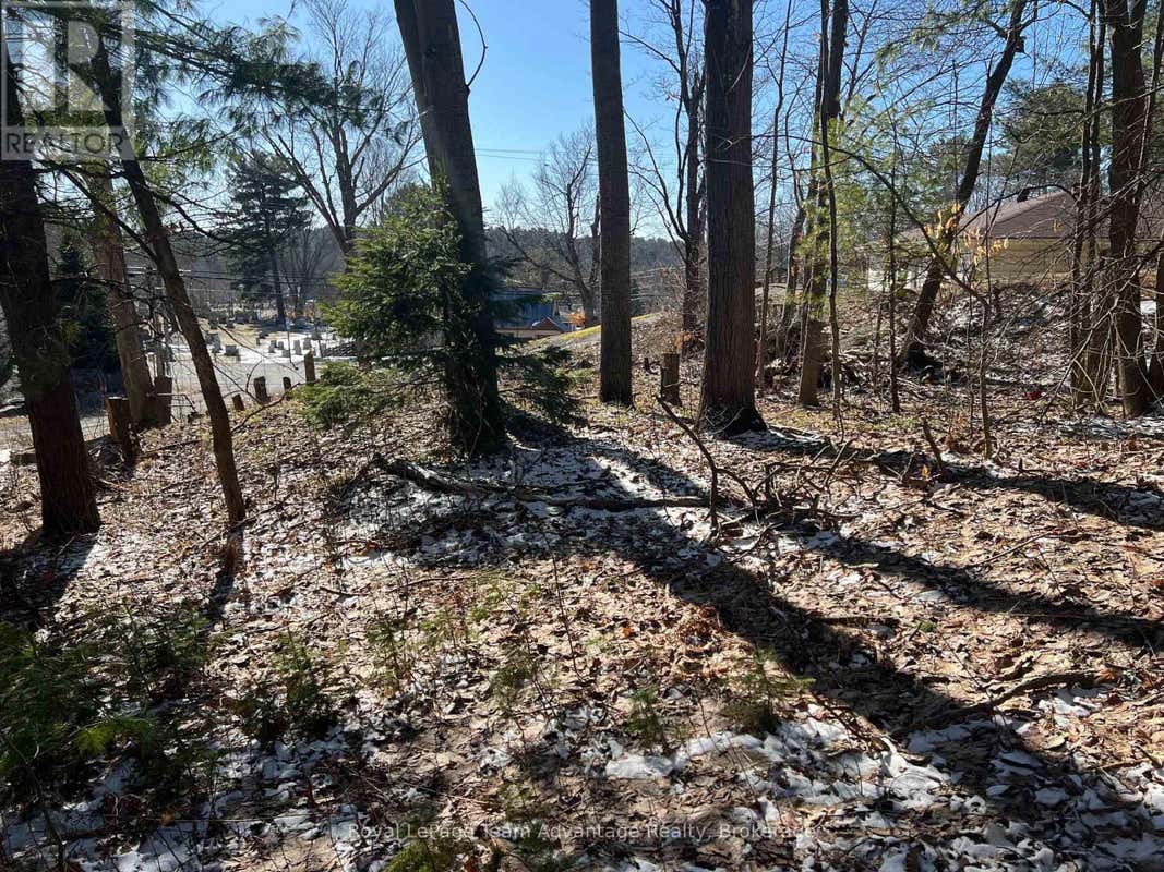 57 ISABELLA STREET, Parry Sound, ON P2A1M4 Land For Sale | RE/MAX ...