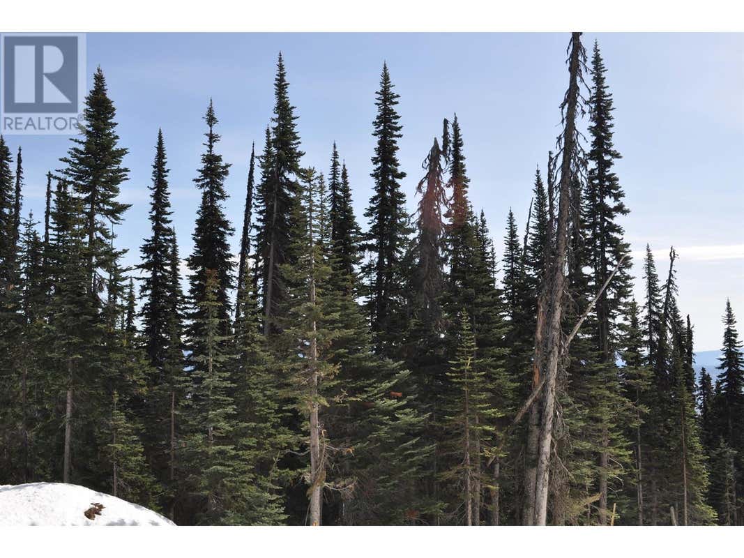 Pr. St Lt 8 ALPINE WAY, Smithers, BC V0J2N0 Land For Sale | RE/MAX ...