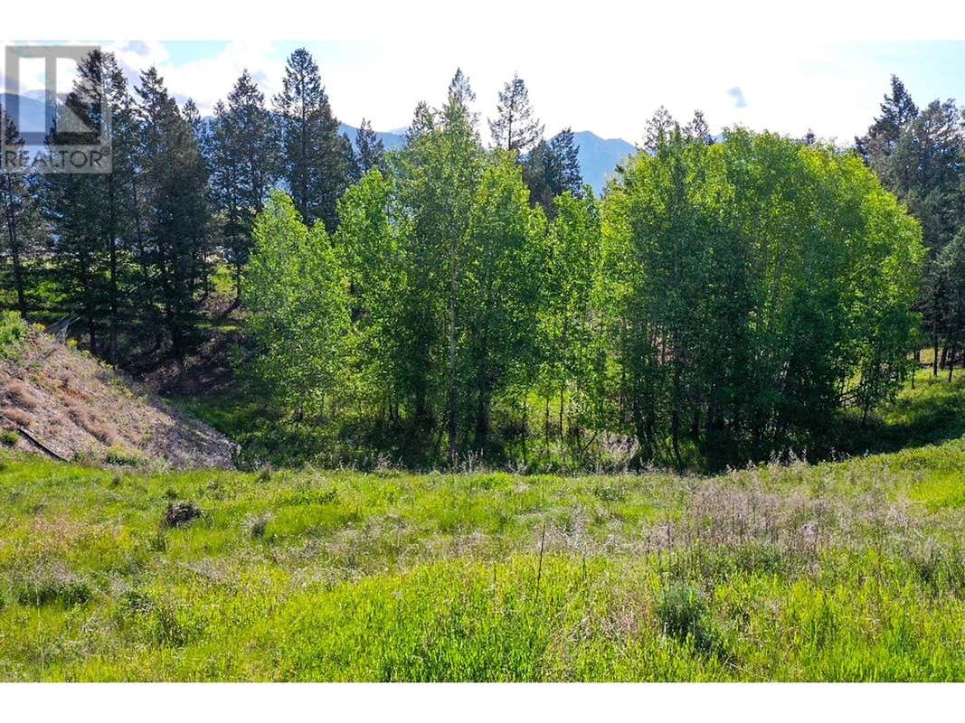 2161 PINETREE Place, Invermere, BC V0A1K4 Land For Sale | RE/MAX | 10349356