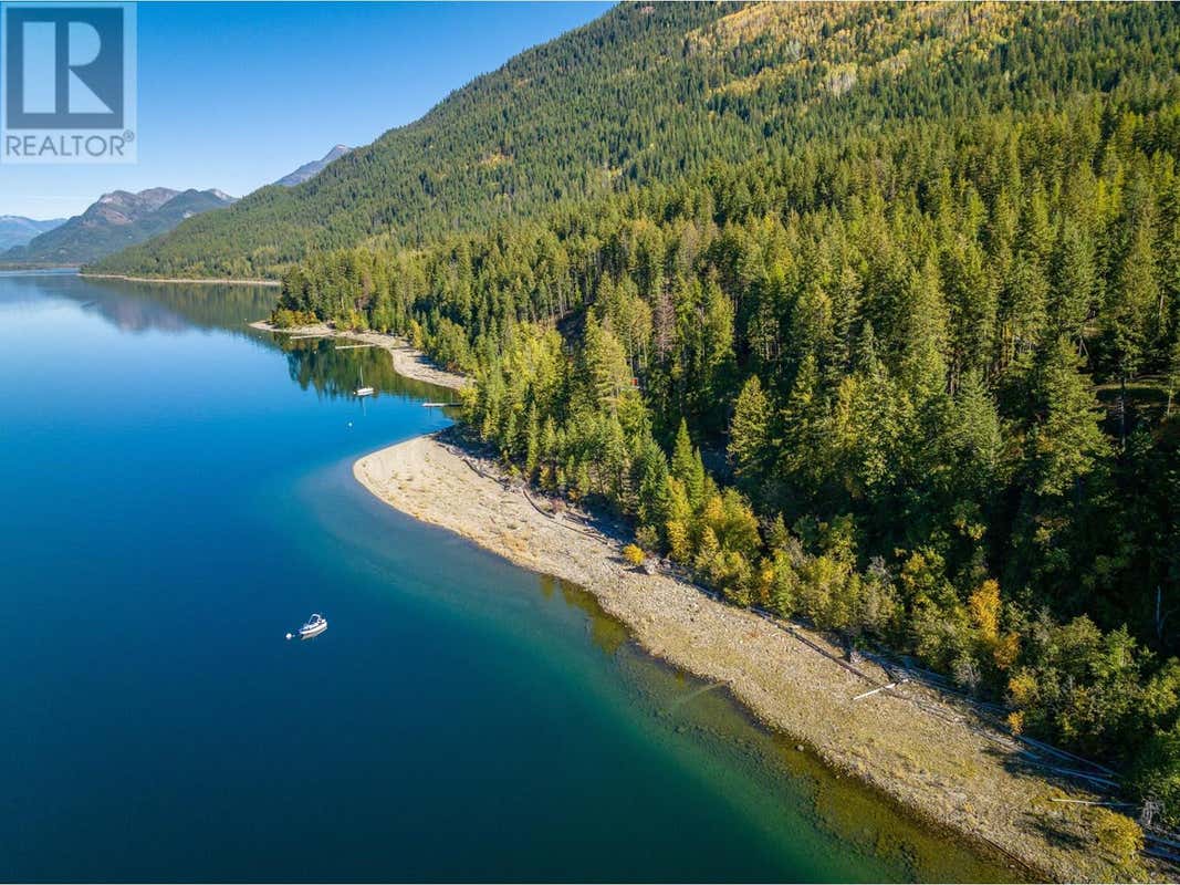 1399 PURCELL Lane, Argenta, BC V0G1A0 À vendre | RE/MAX | 10355978