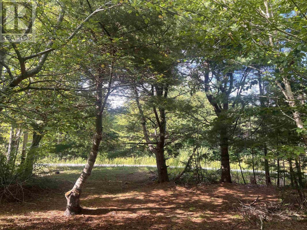 Lot 9A Myers Point Road, Head Of Jeddore, NS B0J1P0 Land For Sale | RE ...