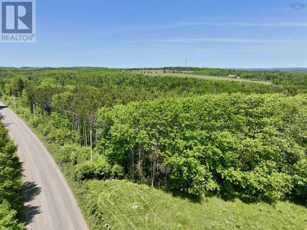 Clark Road, Bear River, NS B0S1B0 Land For Sale | RE/MAX | 202515916