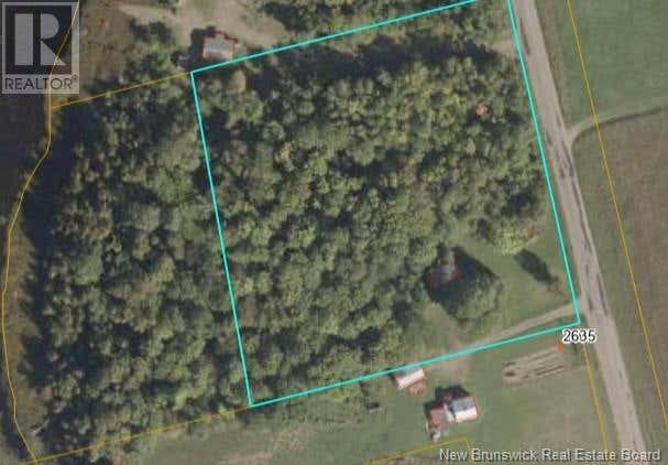 0 595 Route, Bull Lake, NB A0A0A0 Land For Sale | RE/MAX | NB117760
