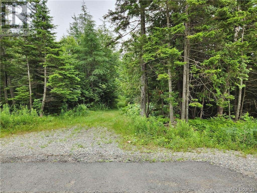Hickey Road, Saint John, NB E2J4T1 Land For Sale | RE/MAX | NB089750