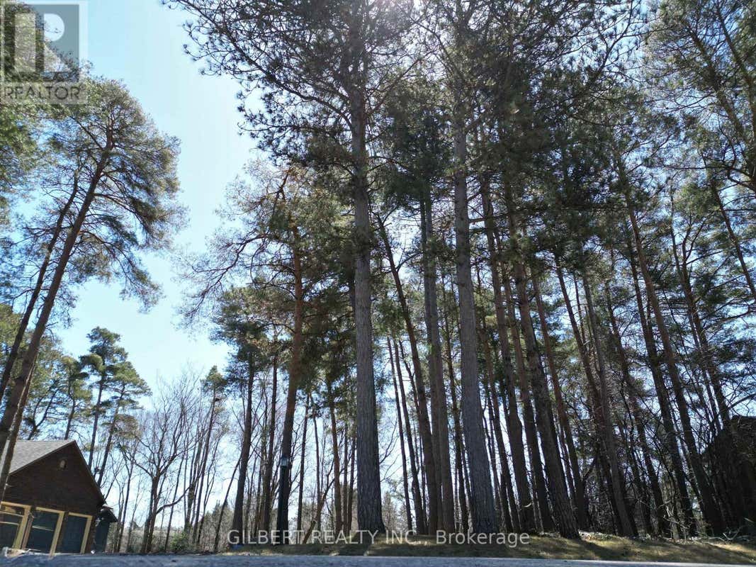 34B CYNTHIA CRESCENT, Richmond Hill (Oak Ridges Lake Wilcox), ON L4E2R1 ...