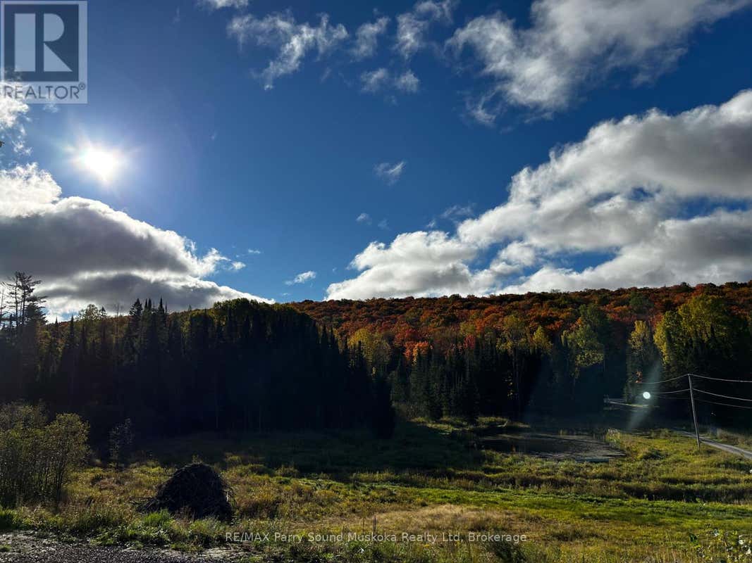 556 HIGHWAY 518 W, Perry, ON P0A1J0 House For Sale | RE/MAX | X12105426