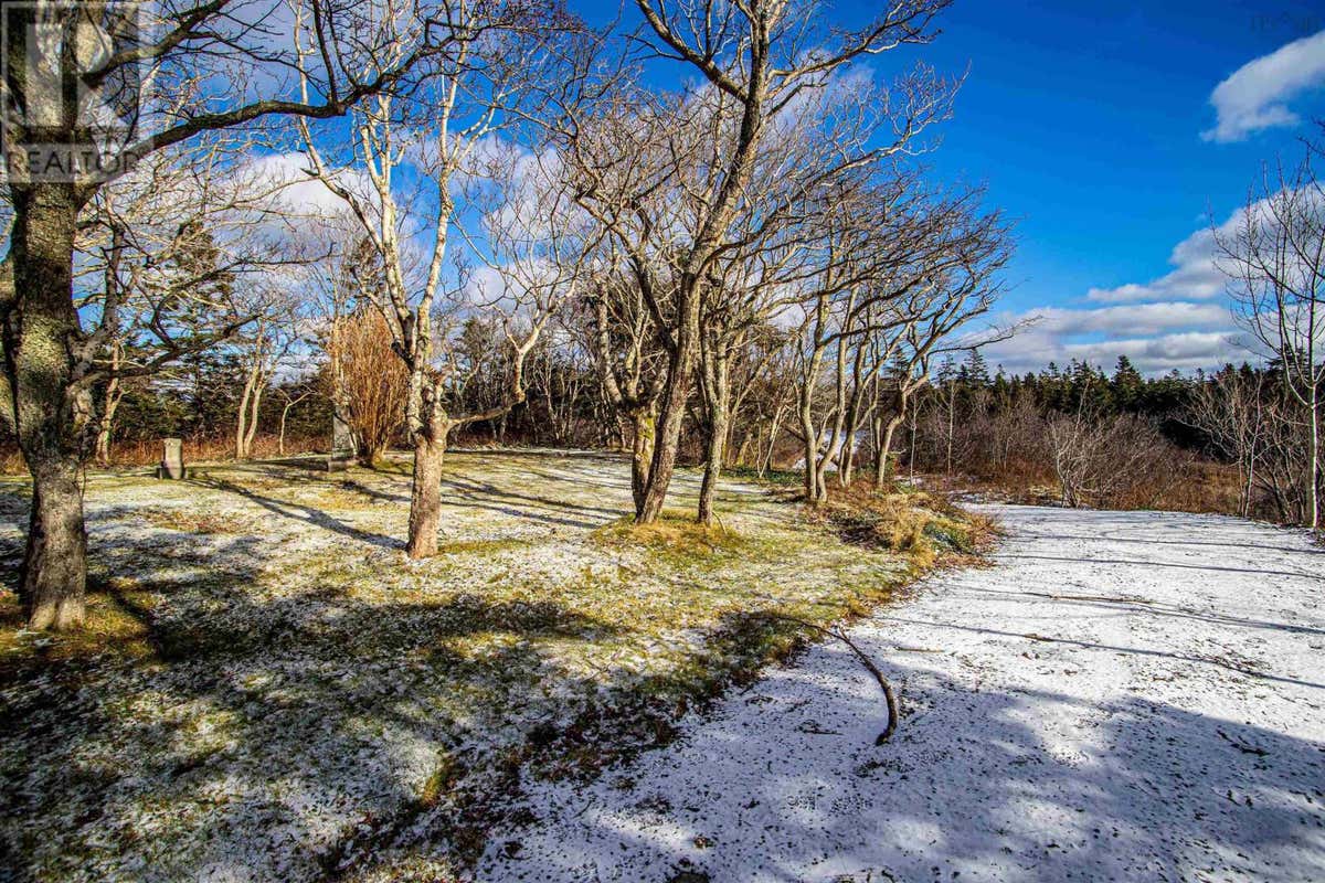 2022A Peajack Road, Westport, NS B0V1H0 Land For Sale | RE/MAX | 202526630