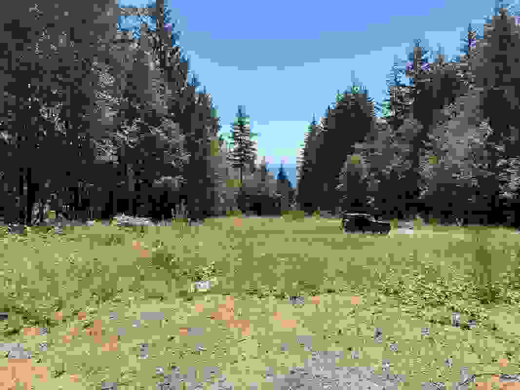 Lot 1&E FIRBURN ROAD, Roberts Creek BC V0N 2W5, Roberts Creek, BC V0N ...