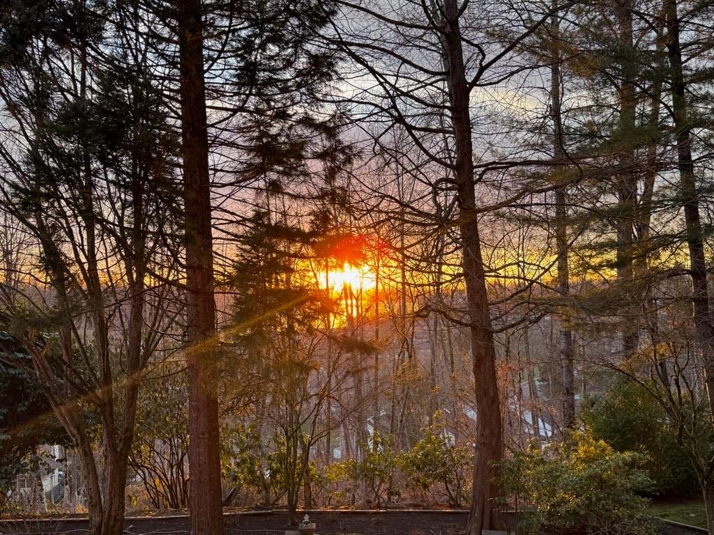 205 11609 227 STREET, Maple Ridge BC V2X 2L9, Maple Ridge, BC V2X 2L9 ...