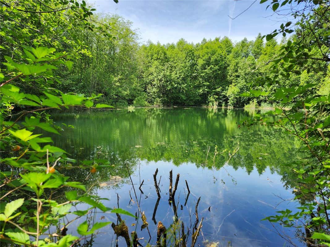 1075 SPIDER LAKE Rd, Qualicum Beach BC V9K 2L7, Qualicum Beach, BC V9K 2L7 House For Sale | RE ...