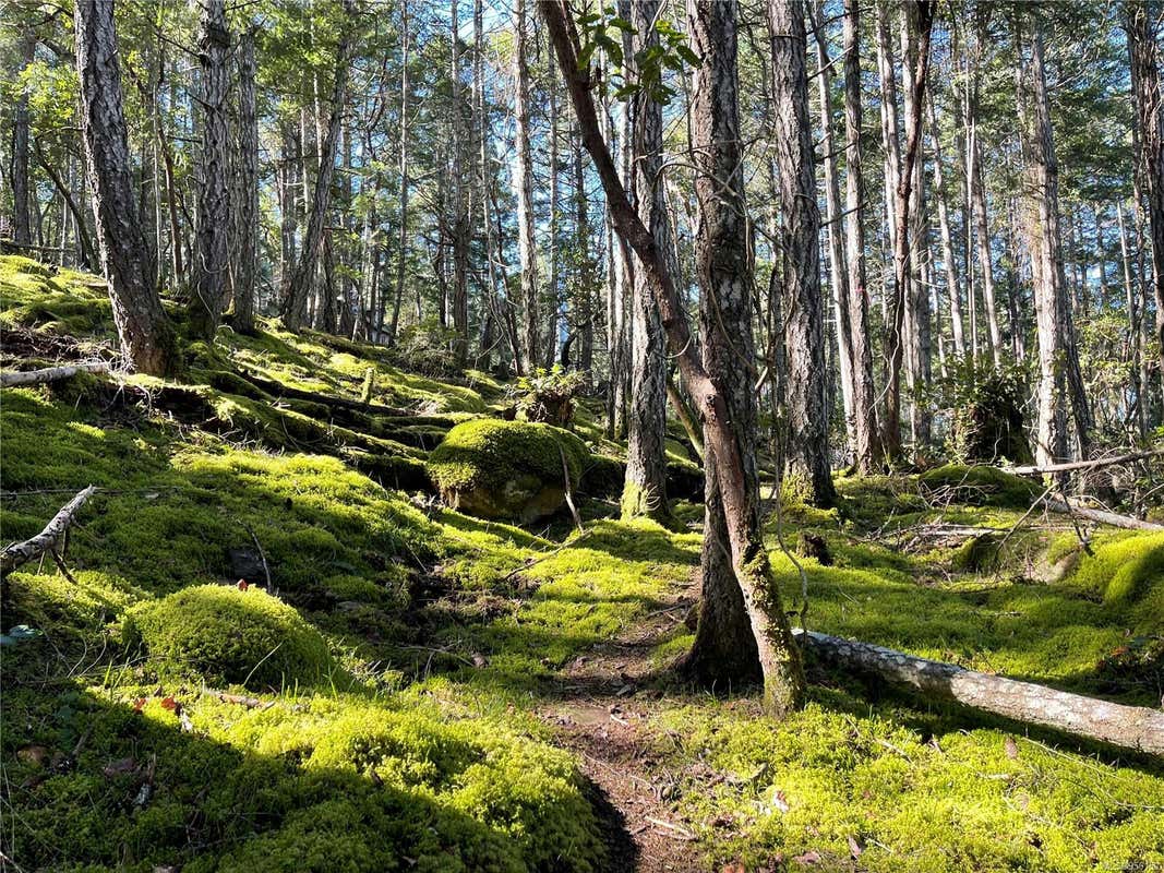 Lot 145 Coho Blvd, Mudge Island BC 000 000, Mudge Island, BC 000 000 ...